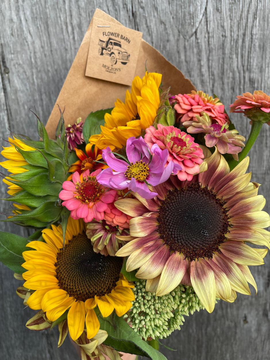 Products – Molzon Landscape Nursery